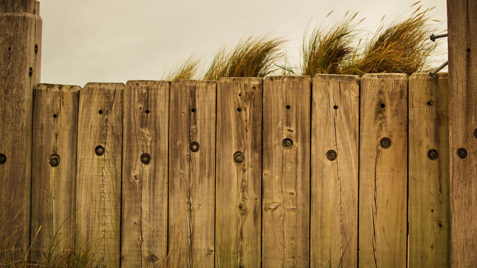 Why Do Fence Posts Rot At Ground Level? Causes, Prevention, And Expert ...